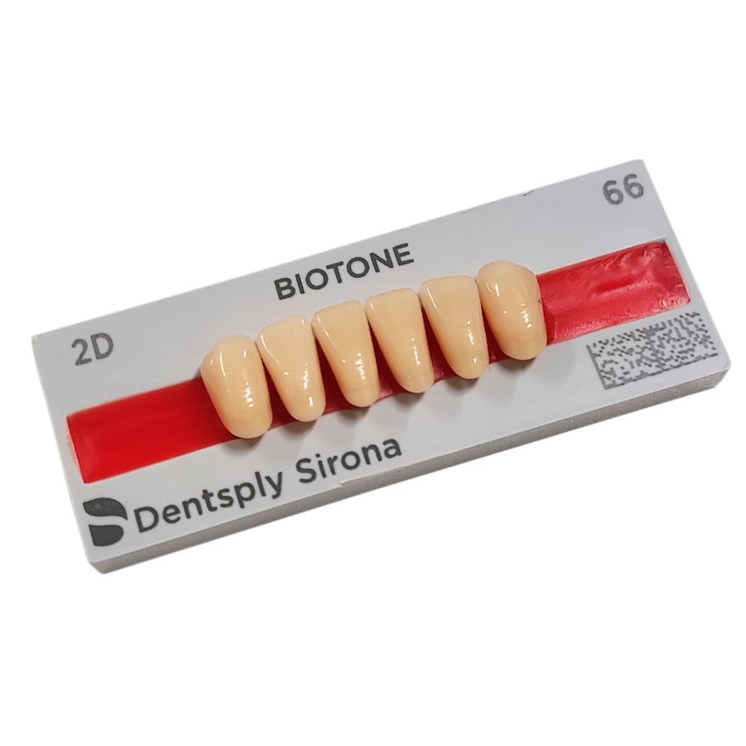 Dente Biotone Anterior Inferior - Dentsply Sirona